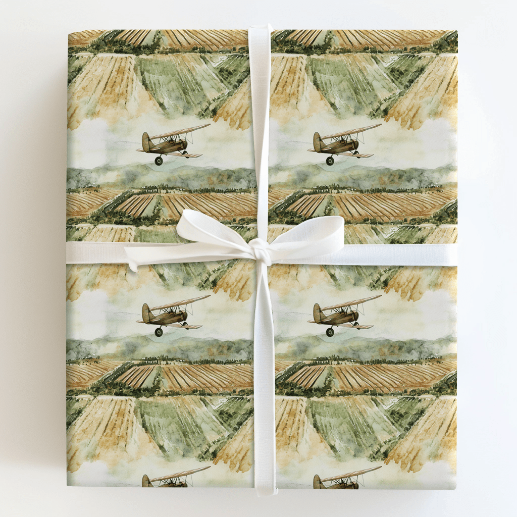 Golden Hour Glide Wrapping Paper: Airplane Gift Wrap for Boys – Aspen ...