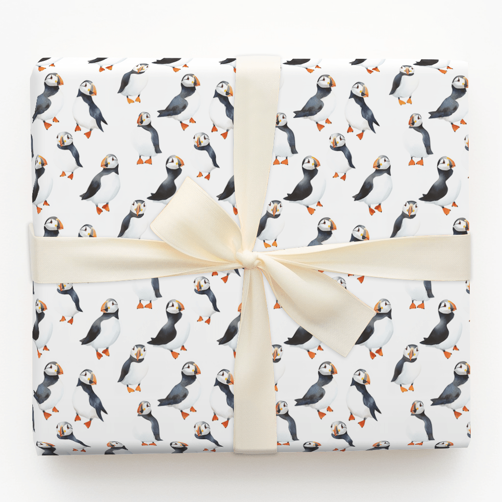 Plumage Plush Wrapping Paper: Puffin Bird Gift Wrap – Aspen & Arlo