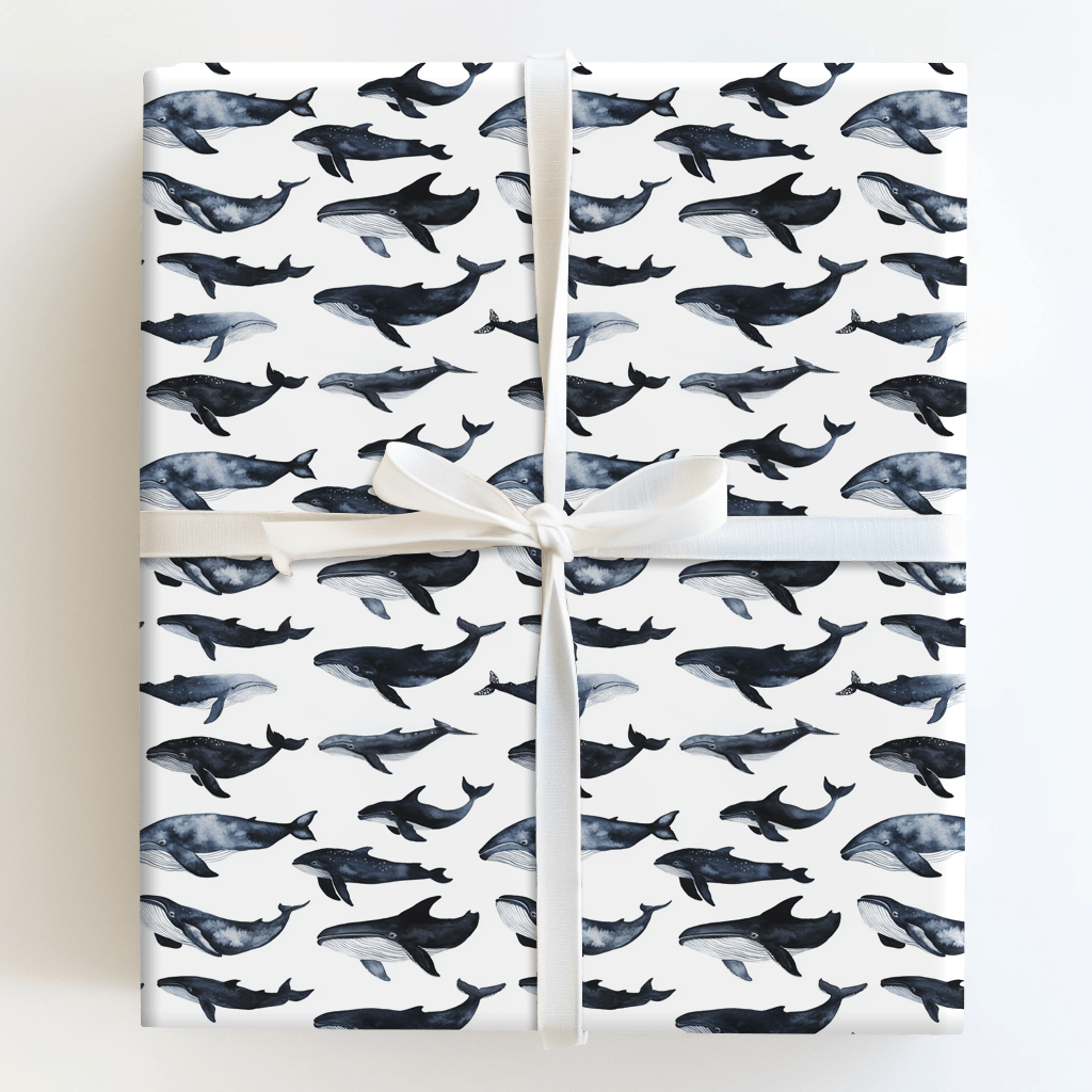 Whale of a Tail Wrapping Paper: Ocean Animal Gift Wrap – Aspen & Arlo