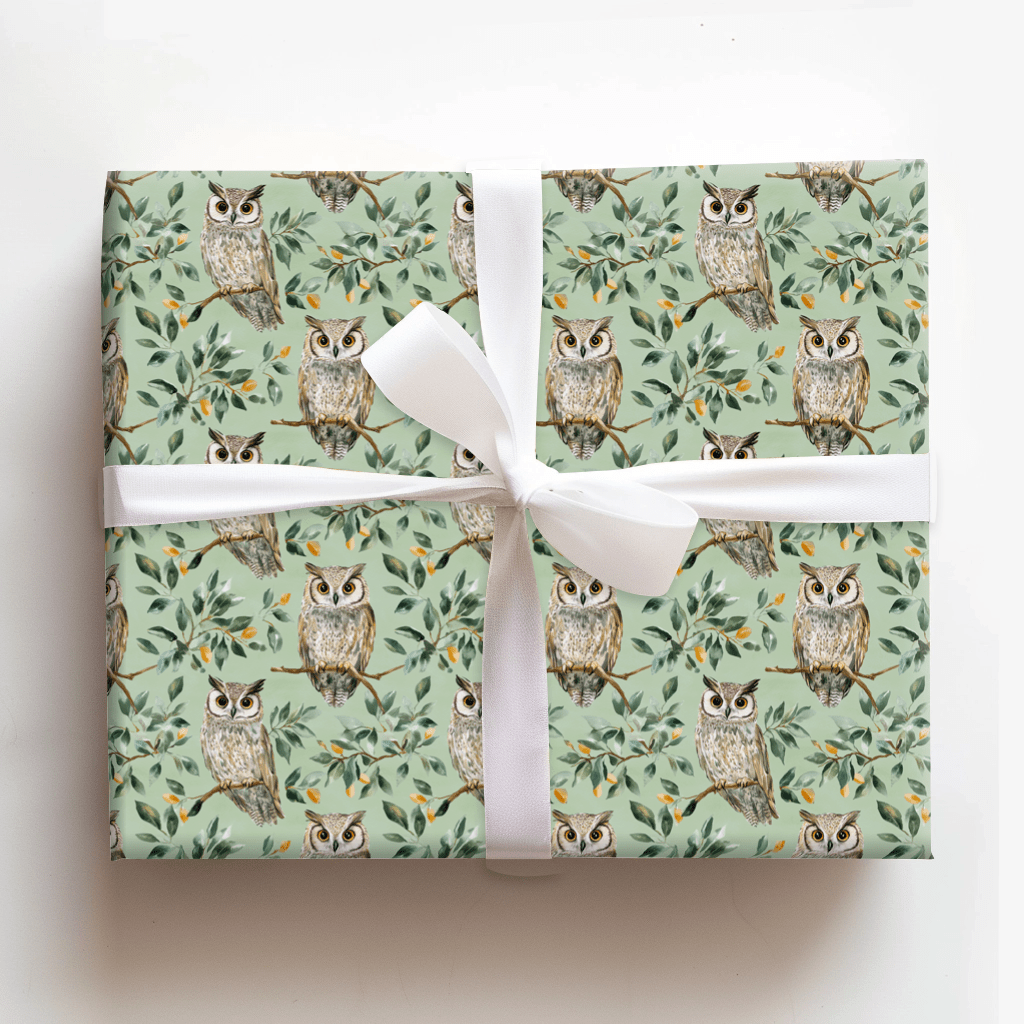 Owl Day Every Day Wrapping Paper: Cute Owl Gift Wrap for Animal Lovers ...