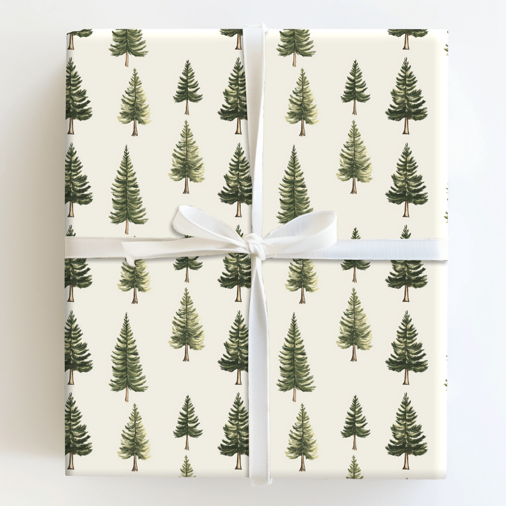 Winifred – Aspen & Arlo